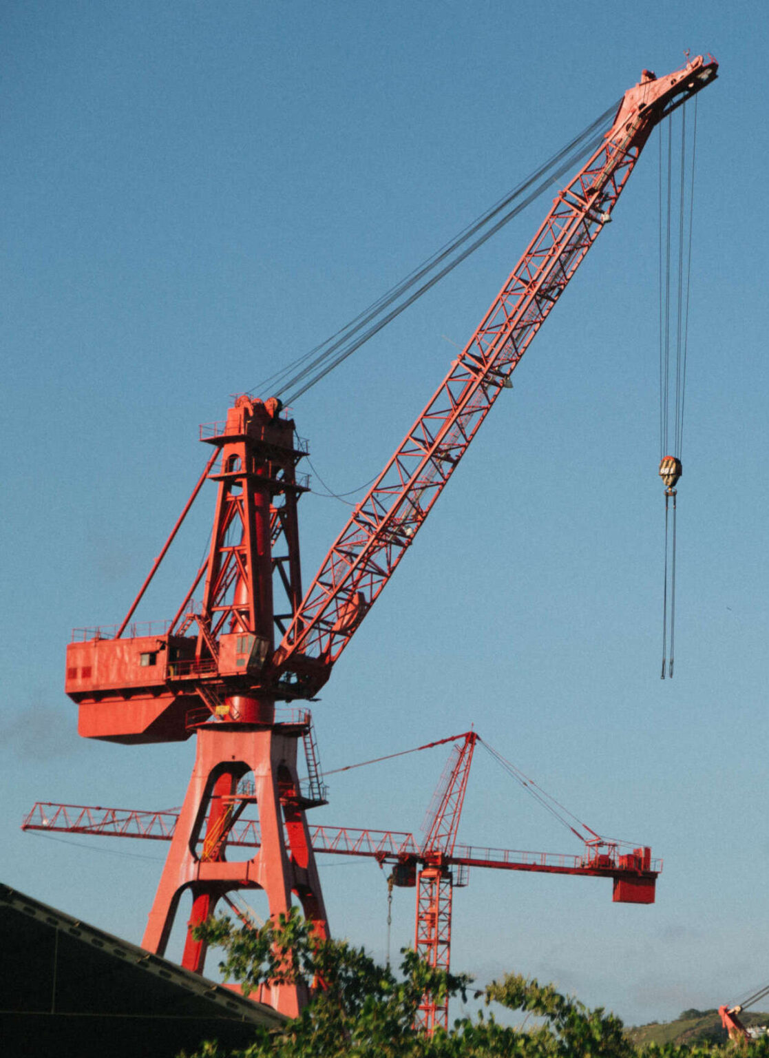 Service - Pak Crane